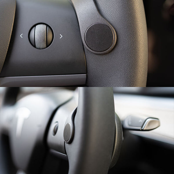 AP PAPA Lite Version Autopilot Buddy for Tesla Model 3/Y (2017-2024 ...