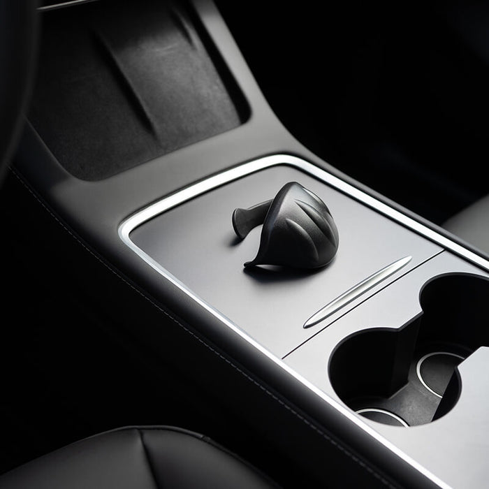 AP PAPA Lite Version Autopilot Buddy for Tesla Model 3/Y (2017-2024 ...